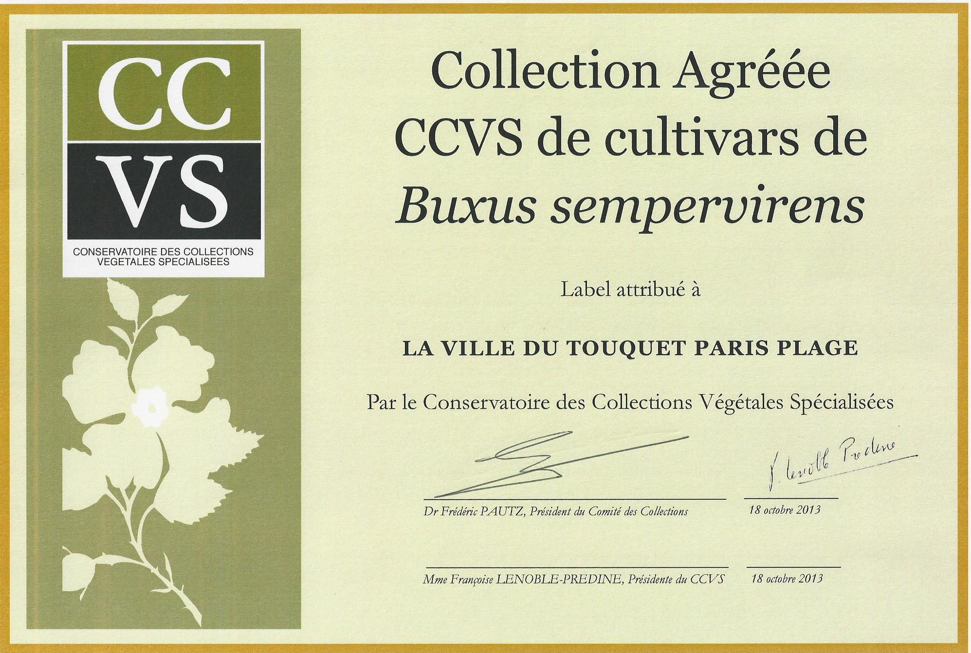 DIPLOME CCVS – EBTS UK