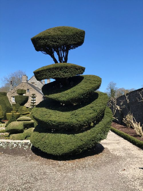 Levens Hall – World Topiary Day – EBTS UK
