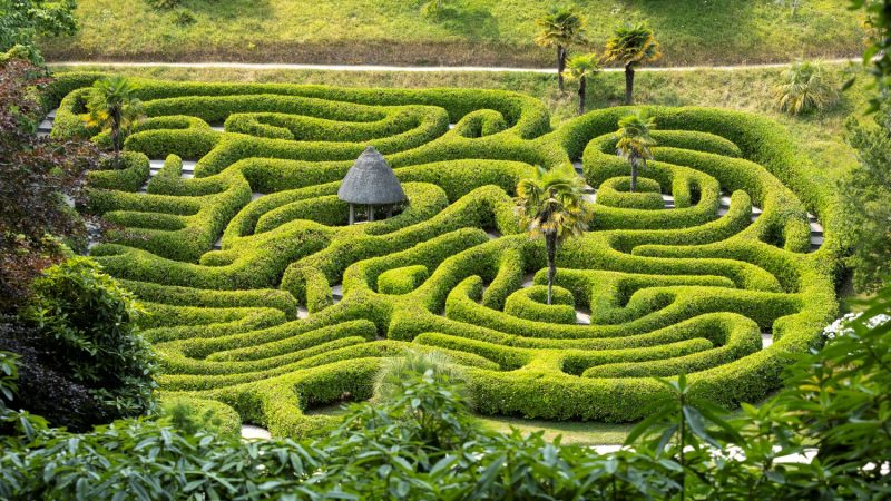 Topiary at Sandringham – EBTS UK